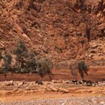 40 Photos to Inspire You to Visit Morocco • The Real Bonne Vivante